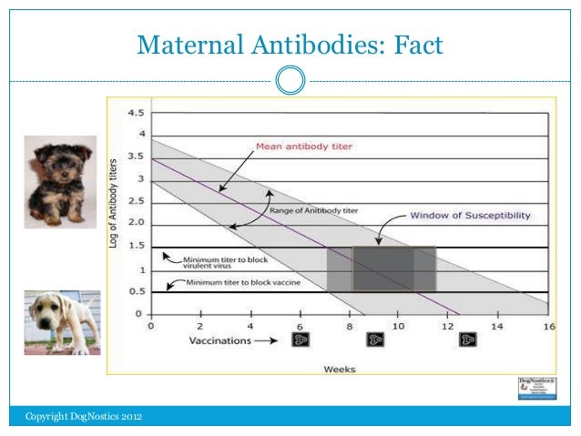 DogNostics Career College.Module # 202 Canine and Feline Health & Han…