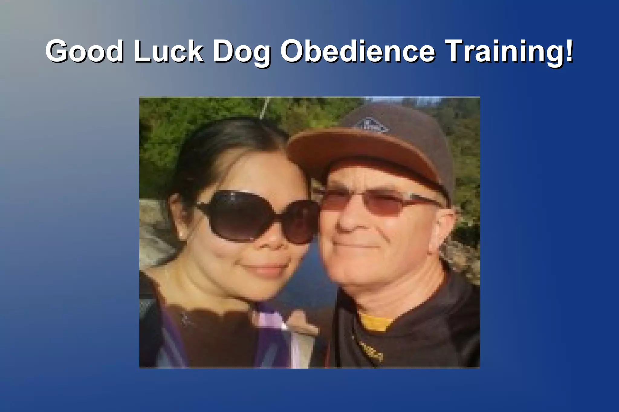 Dog Obedience Training | PDF