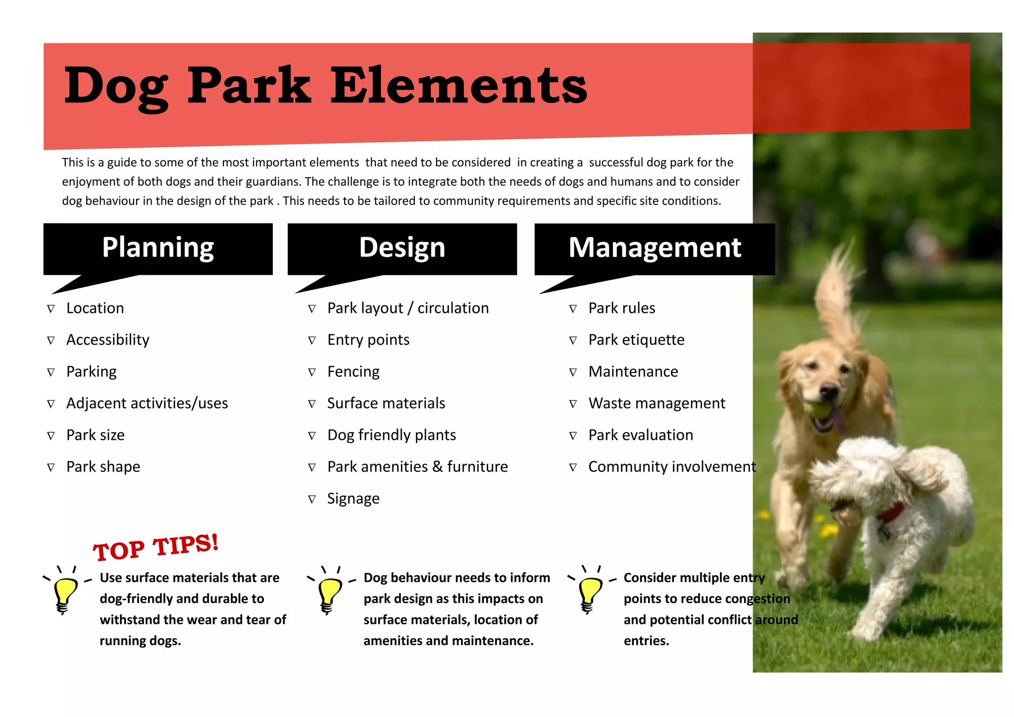 Dog Park Elements | PPT