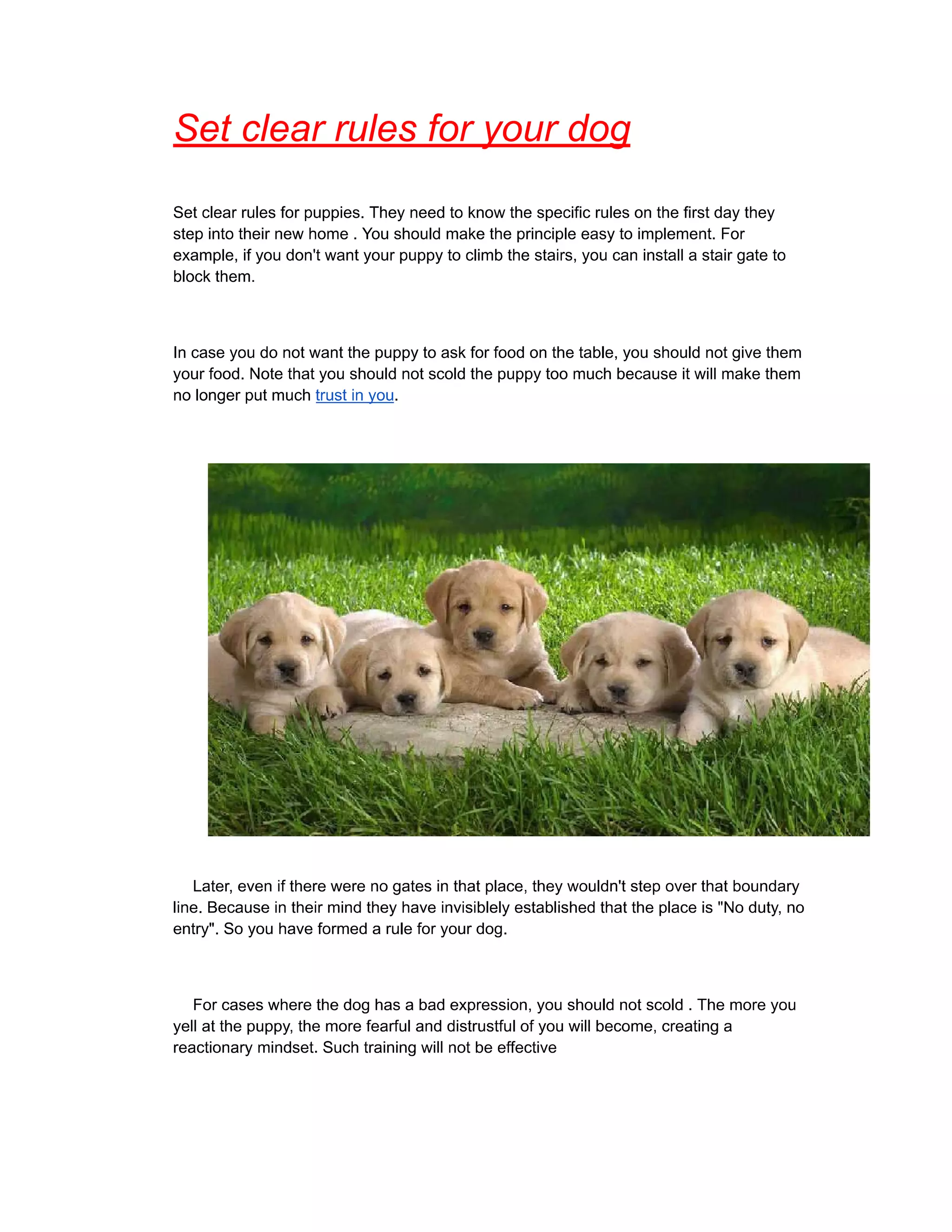 dog pet.pdf