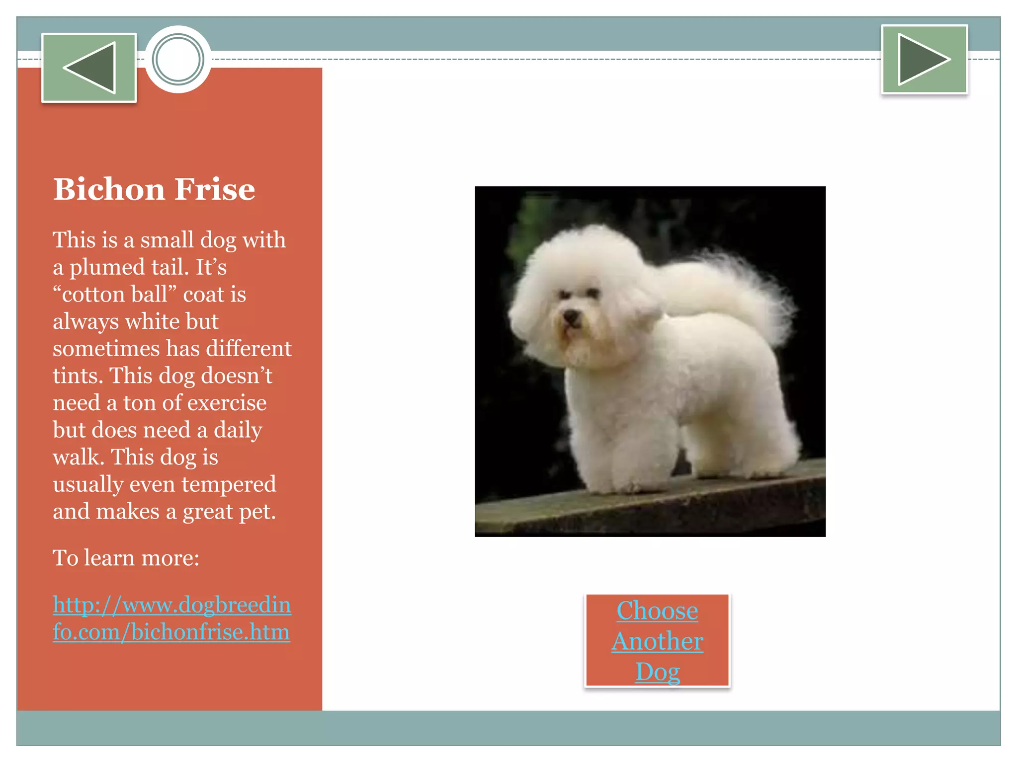 Dog powerpoint | PPTX