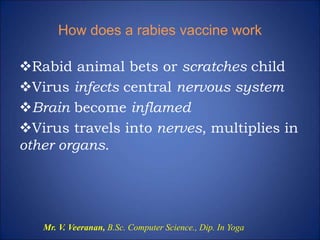 Dog Rabies | PPT