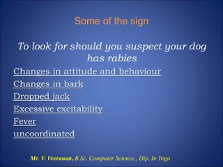 Dog Rabies | PPT