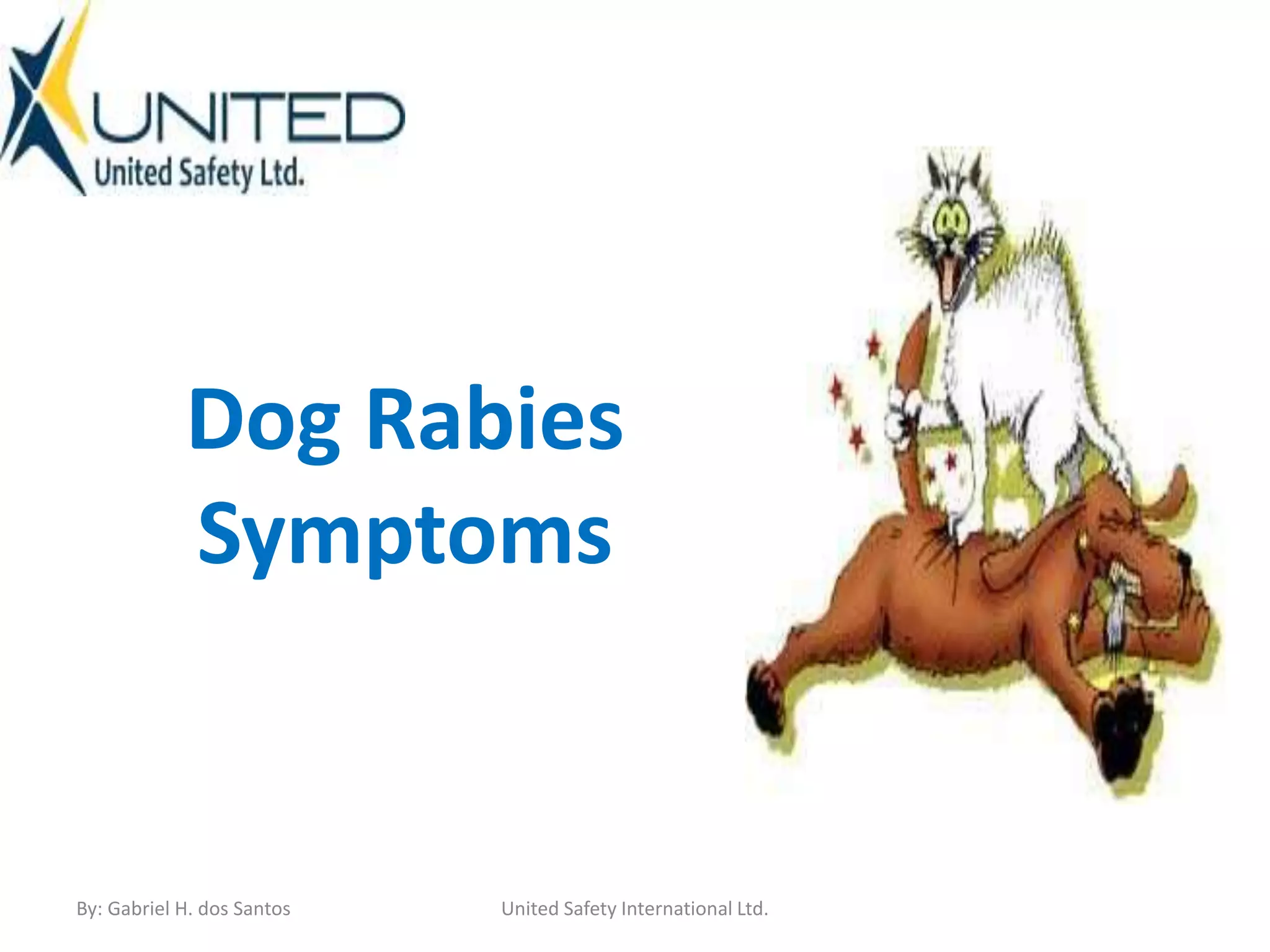Dog Rabies Symptoms Explained | PPT