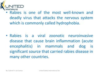 Dog Rabies Symptoms | PPTX