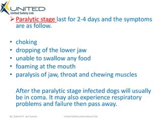 Dog Rabies Symptoms | PPT