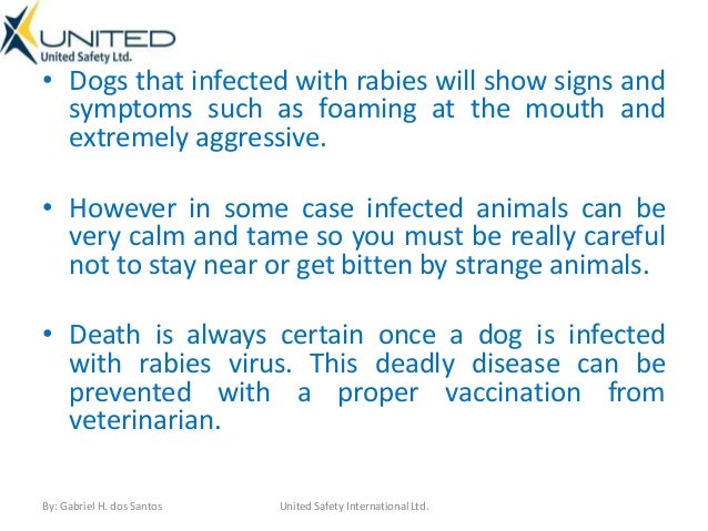 Dog Rabies Symptoms