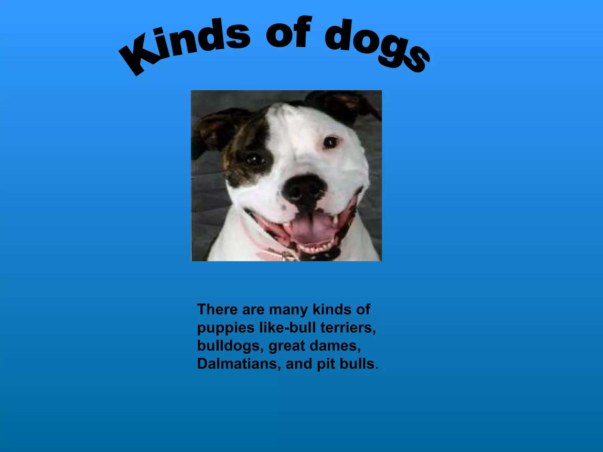 Dogs | PPT