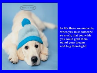 Dogs And Life Powerpoint | PPS
