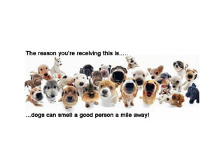 Dogs and-people | PPS