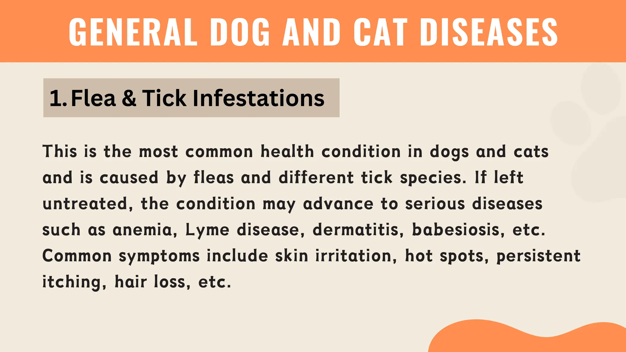 Common Dog & Cat Diseases & How to Protect Your Pet | PDF