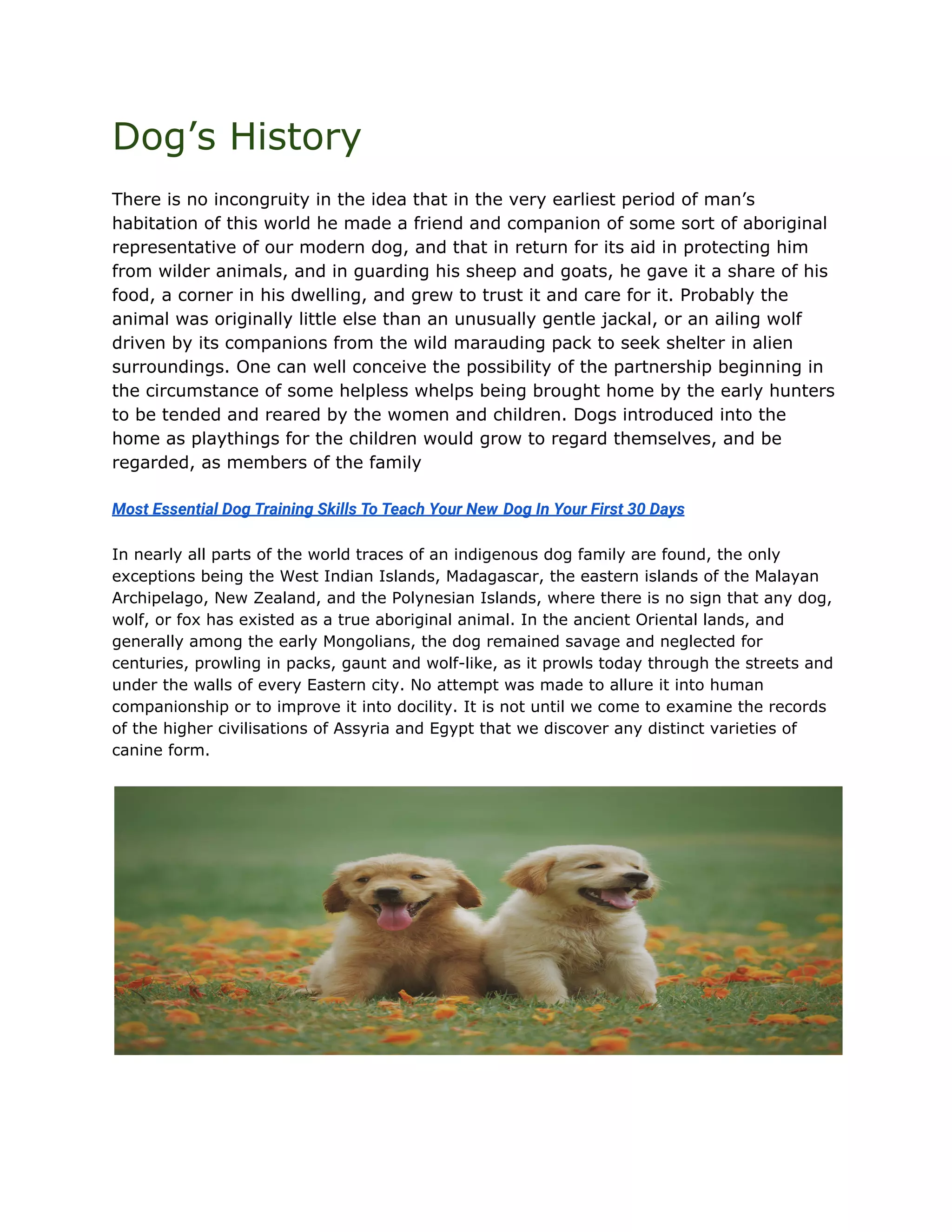Dog's history | PDF
