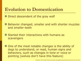 Dogs I Behavior And Restraint Of Dogs | PPT
