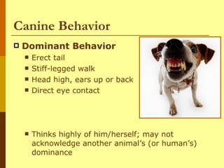 Dogs I Behavior And Restraint Of Dogs | PPT