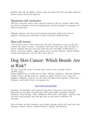 Dog skin cancer types, signs, and treatments | DOCX