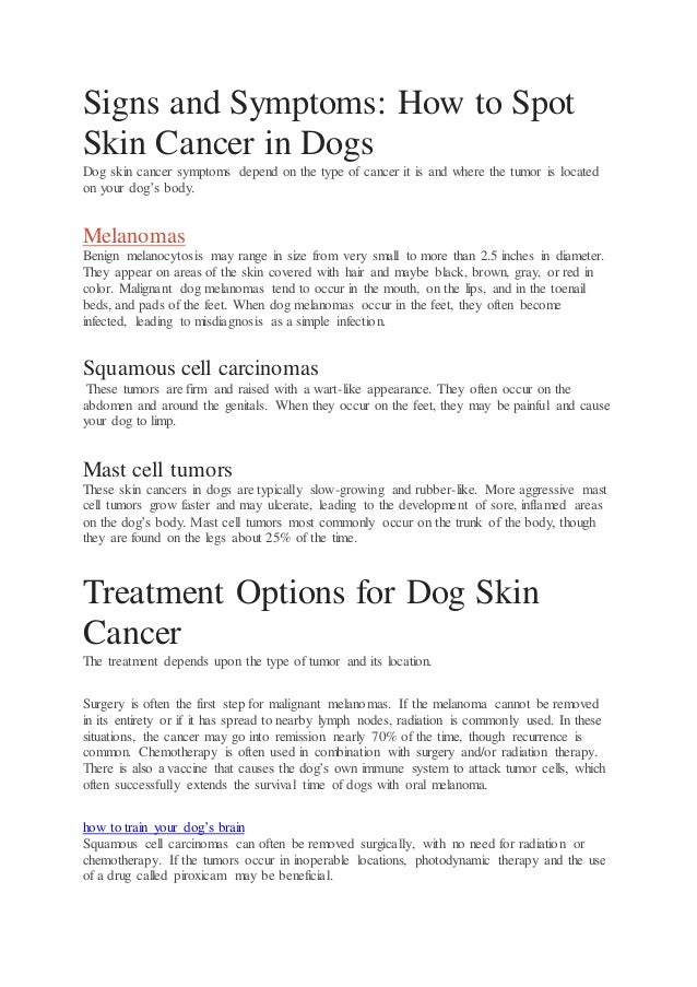 Dog skin cancer types, signs, and treatments
