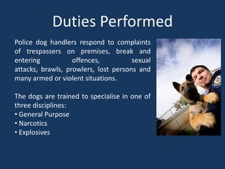 Role of the Police | PPTX | Dogs | Pets