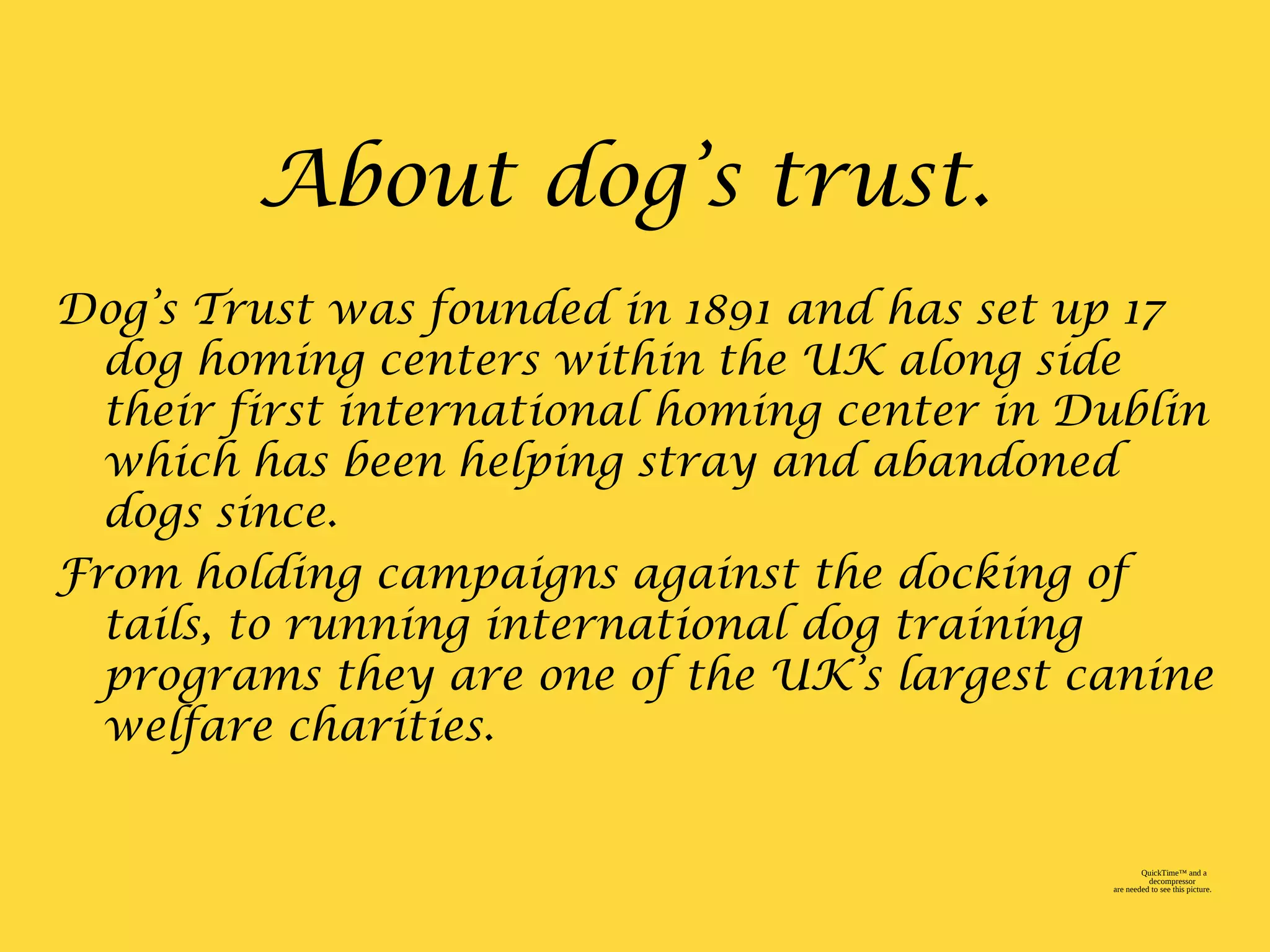 Dog's trust pitch | PPT