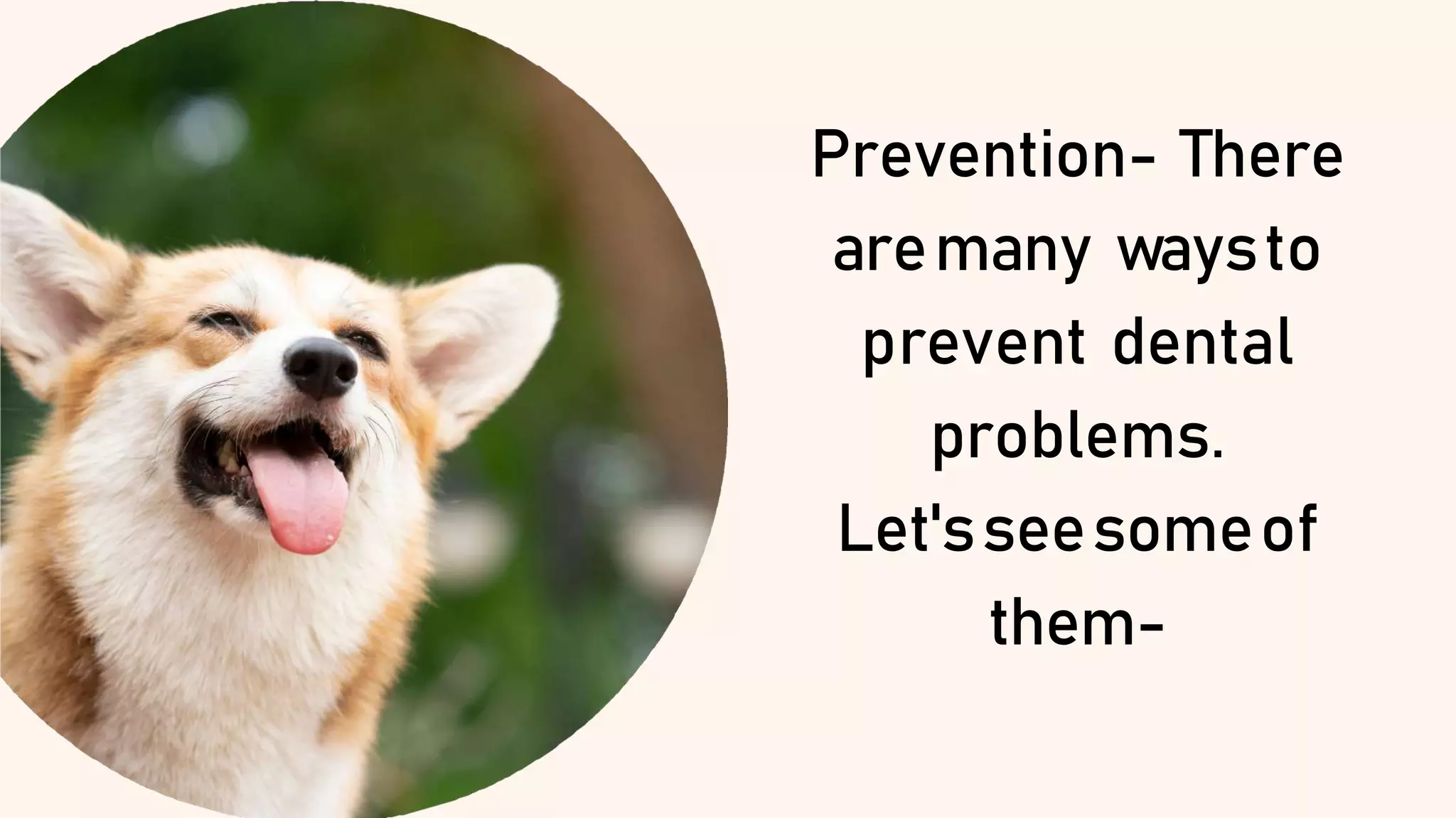 Dog Teeth Problems - Signs and Treatment.pptx