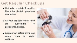 Dog Teeth Problems - Signs and Treatment.pptx