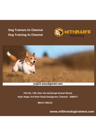 Dog Trainers In Chennai.pdf | Dogs | Pets