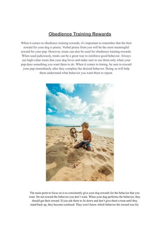 Dog Training-.pdf