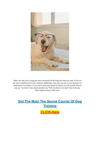 Dog Training-.pdf