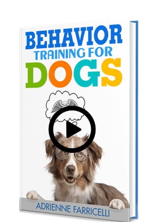 Dog training.pdf