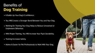 Dog Training (1) (1).pptx