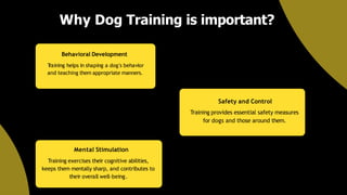 Dog Training (1) (1).pptx
