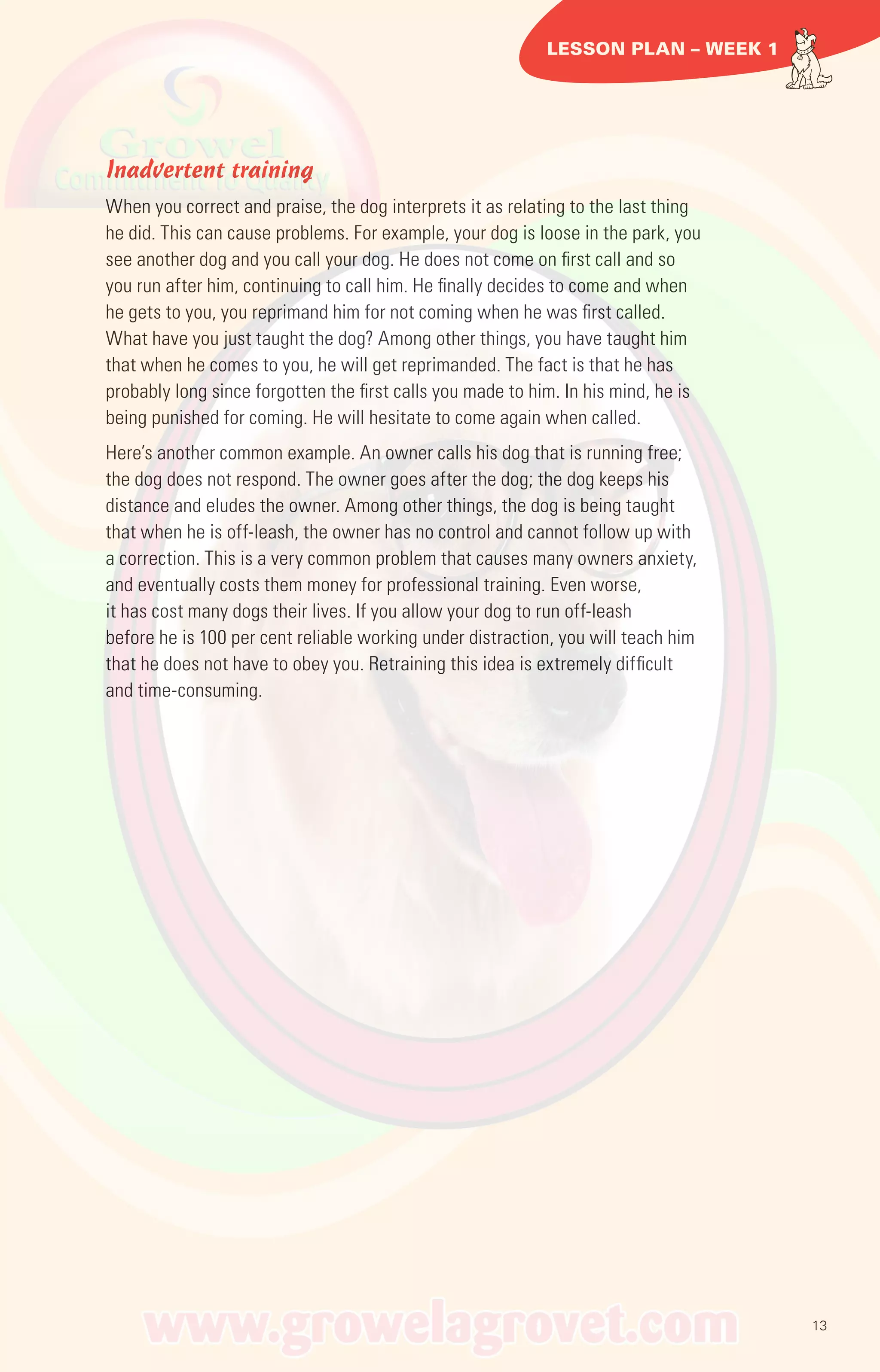 Basic Obedience Training for Dog | PDF