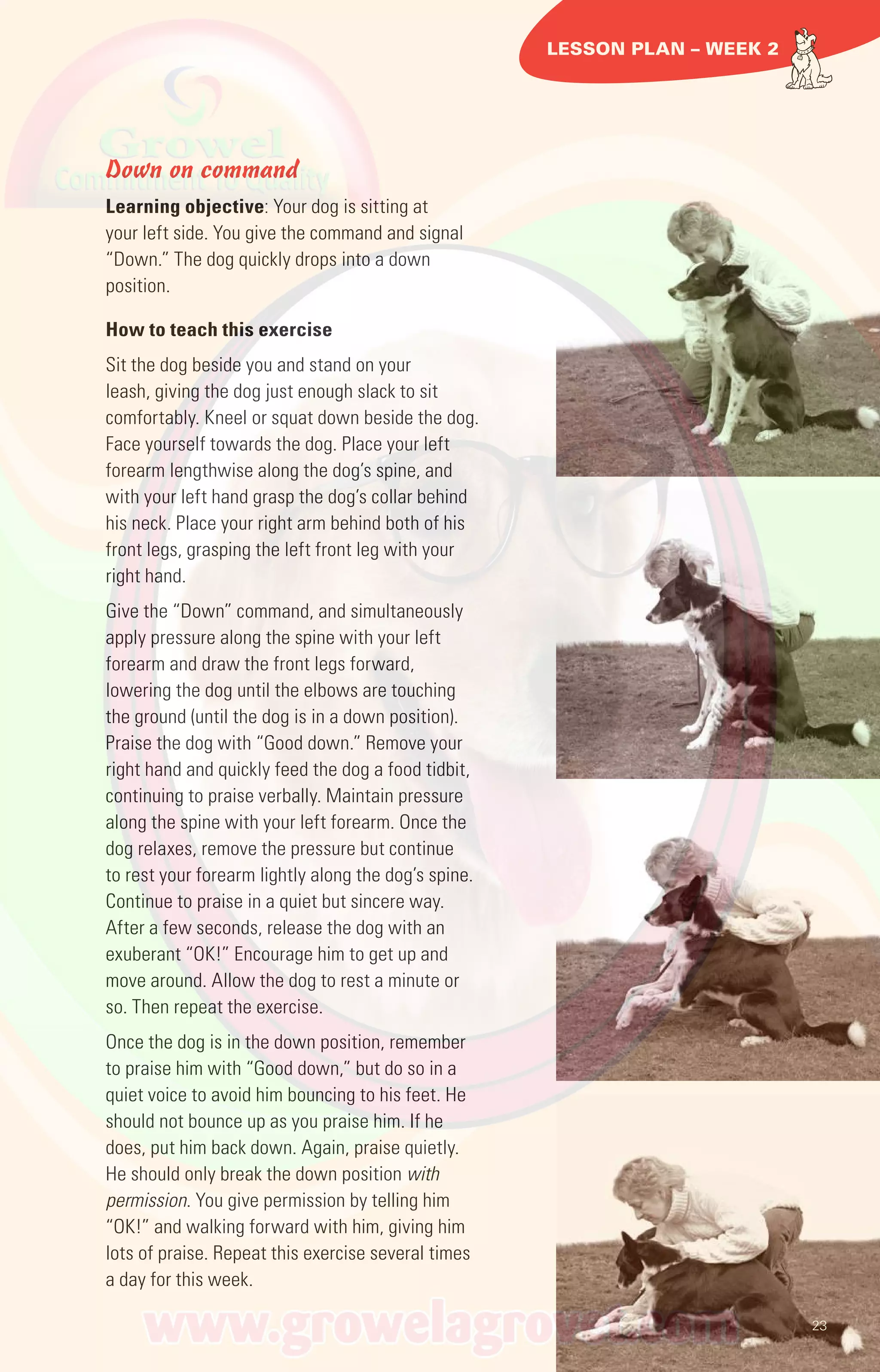 Basic Obedience Training for Dog | PDF