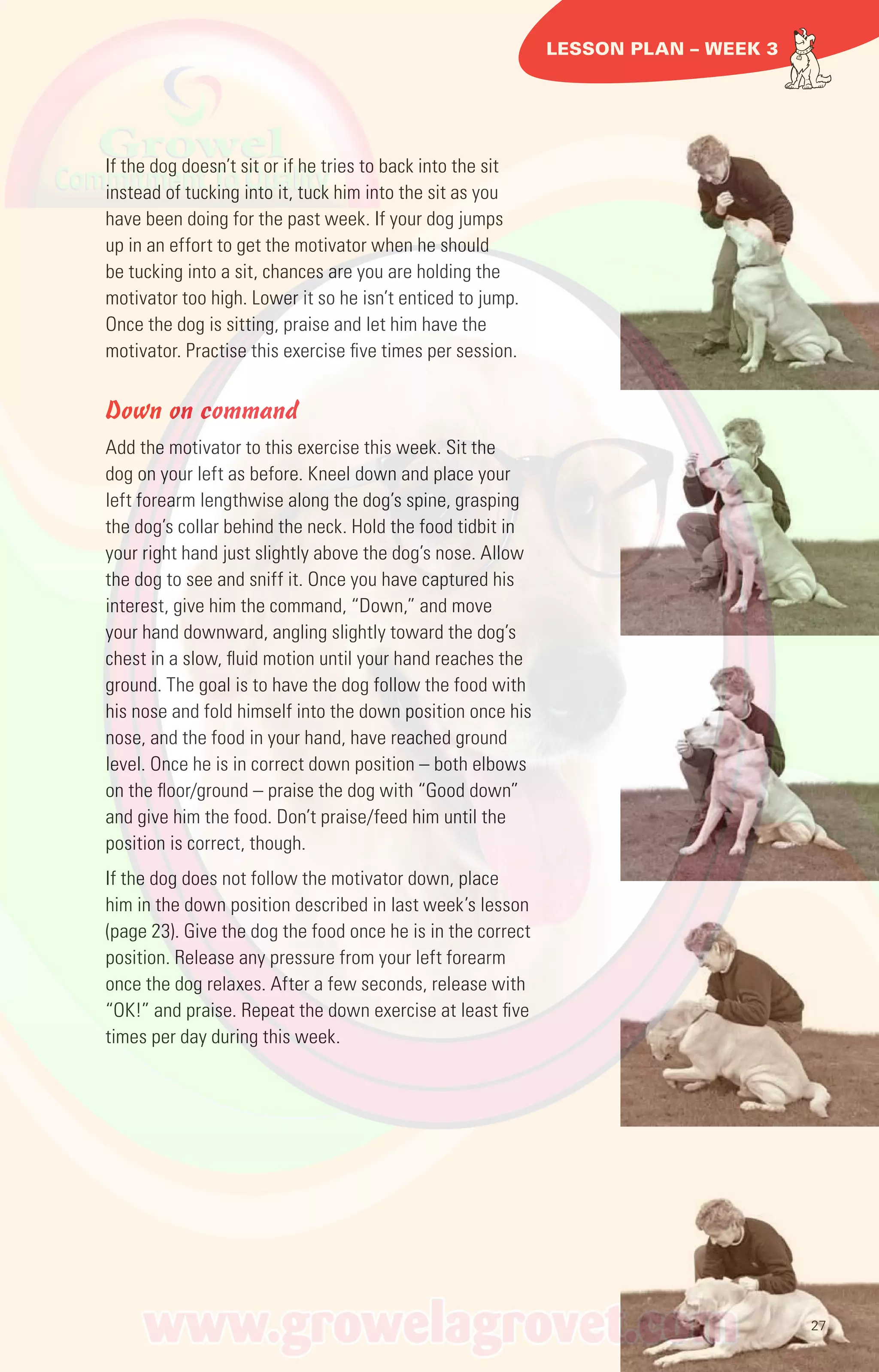 Basic Obedience Training for Dog | PDF