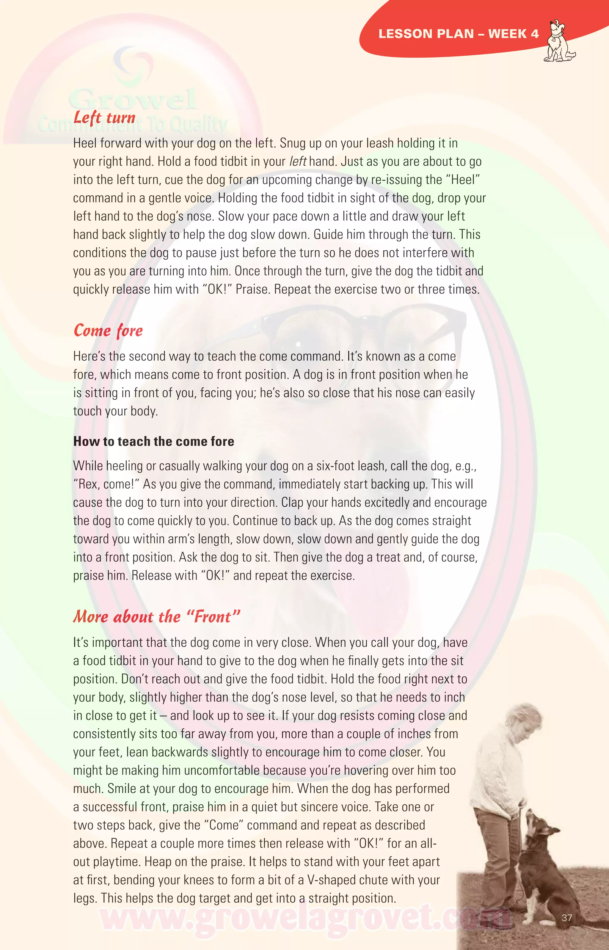 Basic Obedience Training for Dog | PDF
