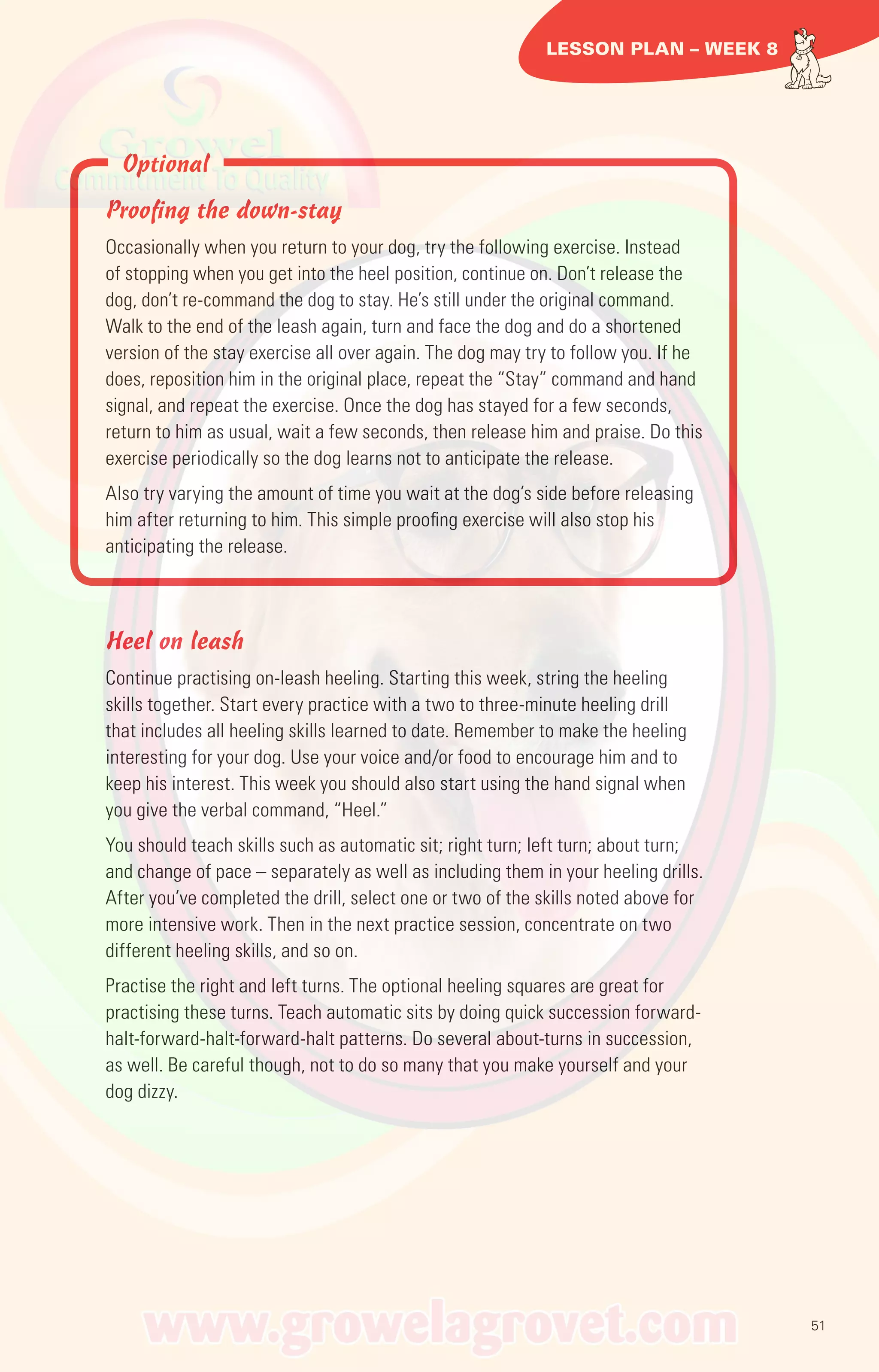 Basic Obedience Training for Dog | PDF