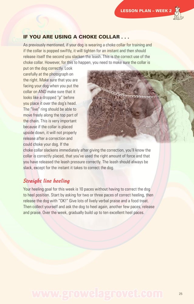 Basic Obedience Training for Dog | PDF