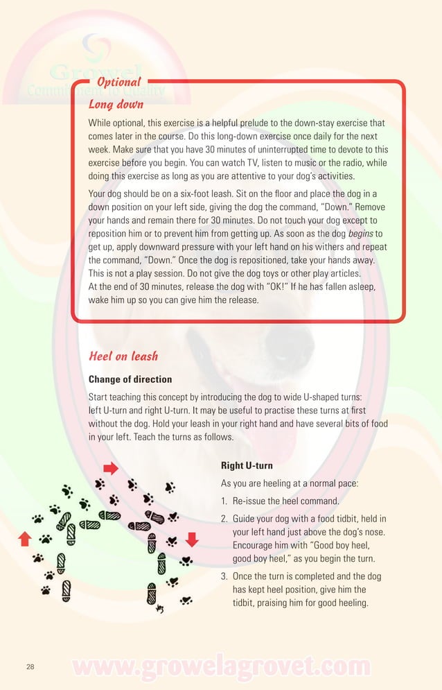 Basic Obedience Training for Dog | PDF