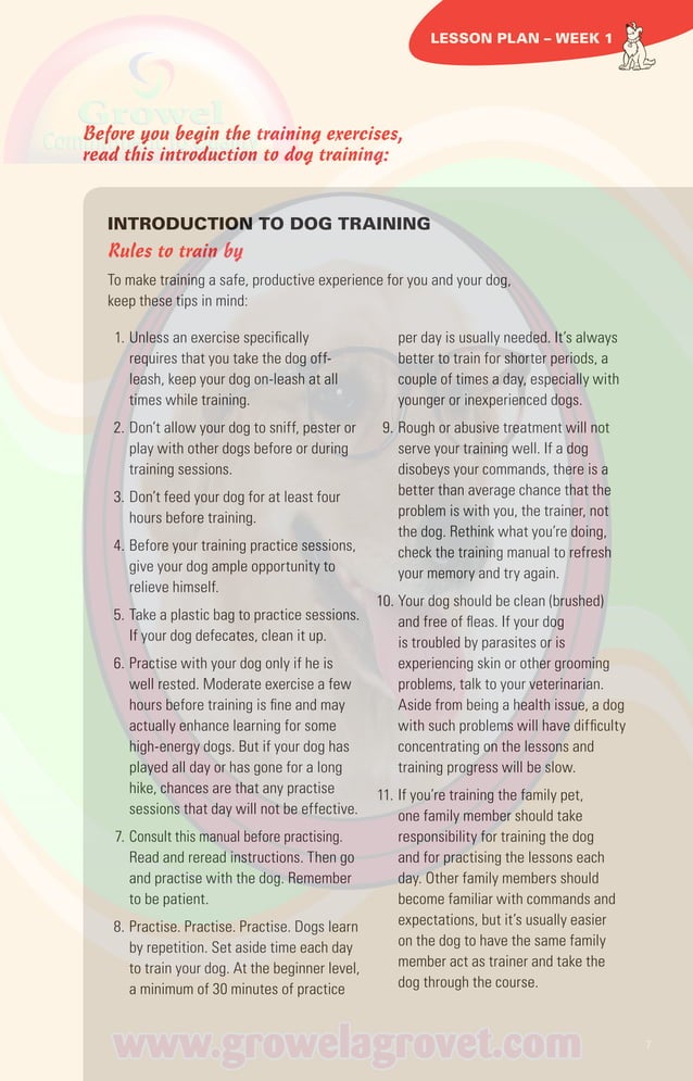 Basic Obedience Training for Dog | PDF