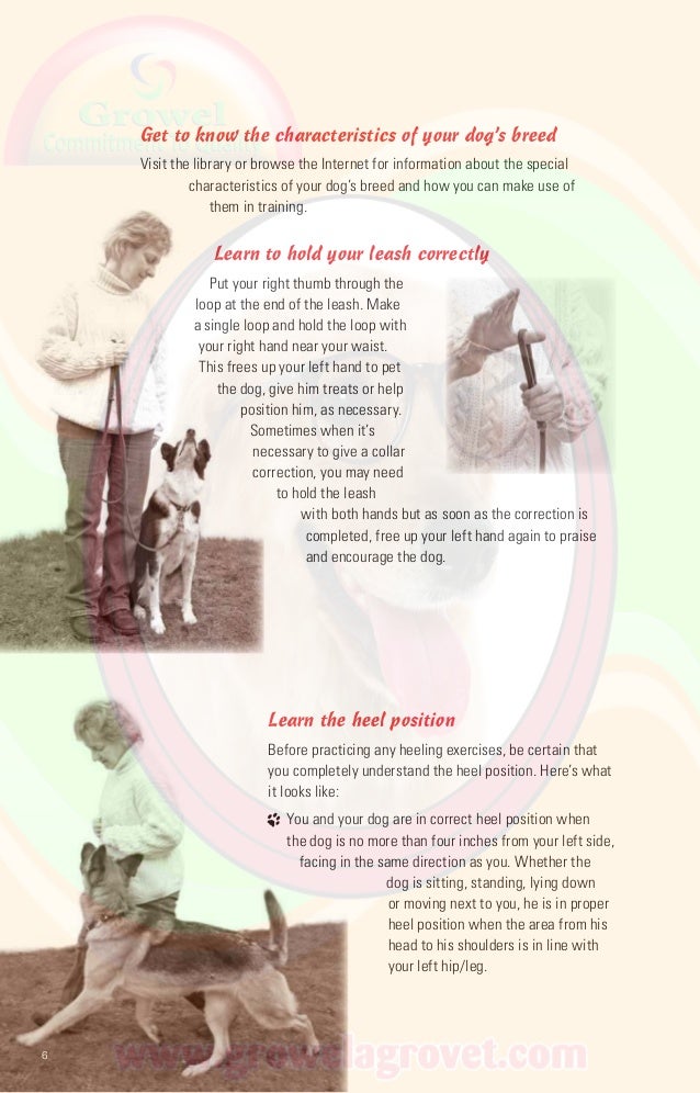 What Is The Proper Way To Hold A Dog