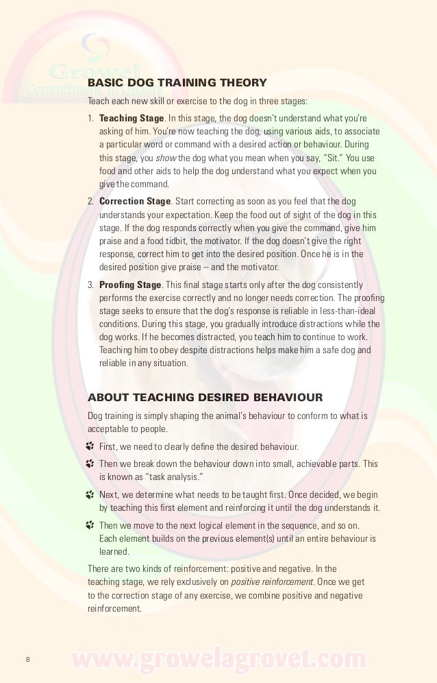 Basic Obedience Training for Dog