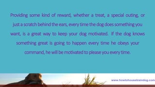 Dog training – keeping your dog motivated | PPT