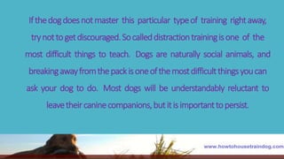 Dog training – keeping your dog motivated | PPTX | Dogs | Pets