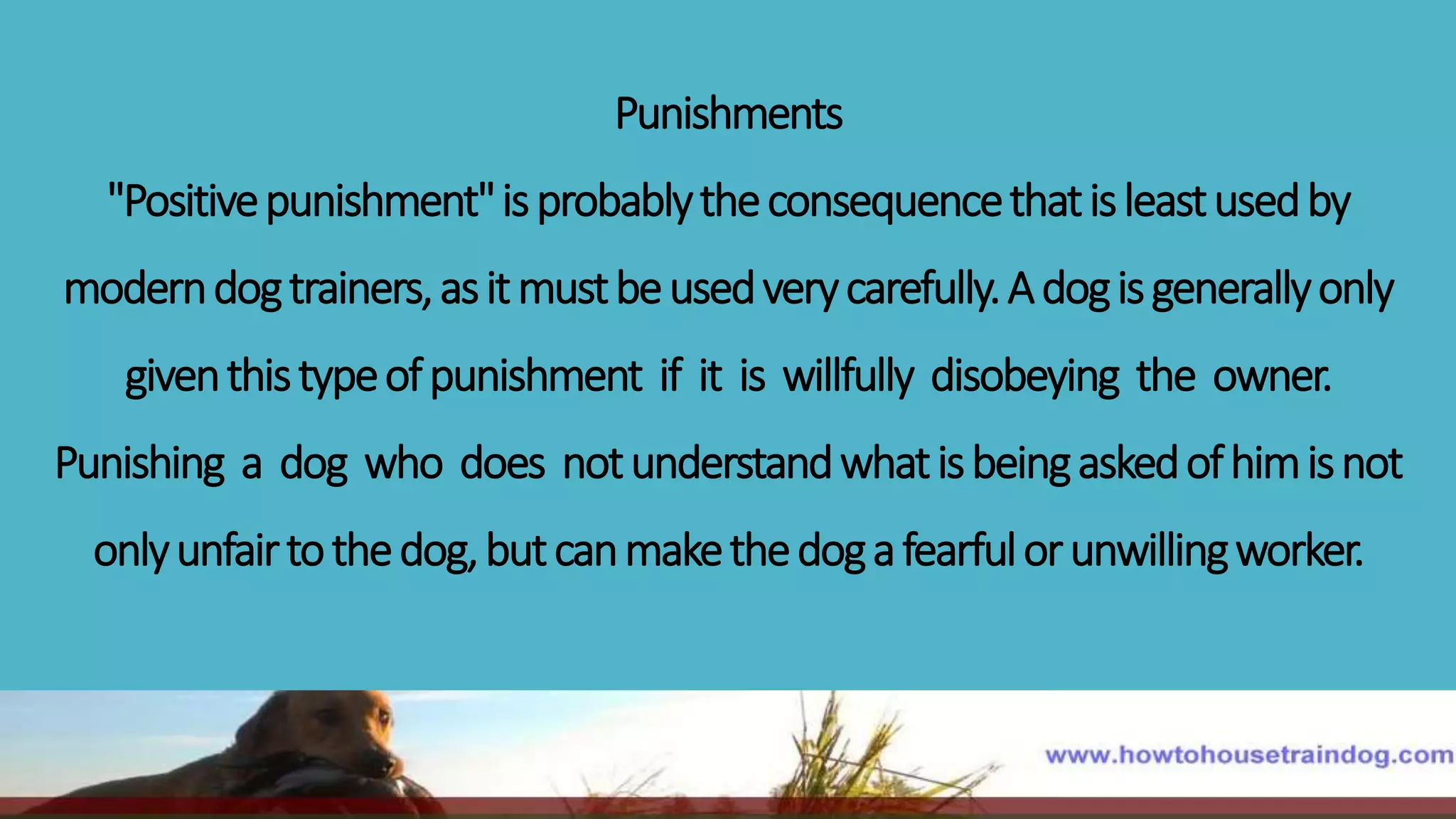Dog training part iv - reward and punishment | PPTX