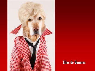 Dog vip p | PPS