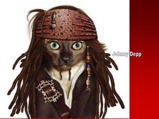 Dog vip p | PPS
