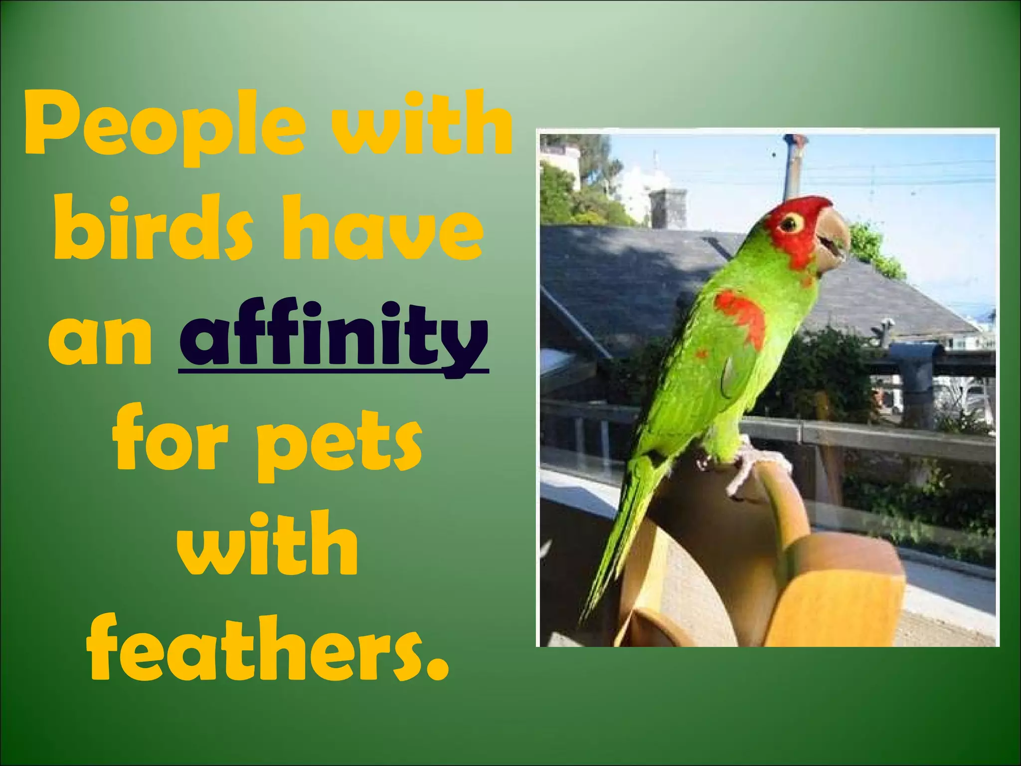 Dog vocabulary | PPT