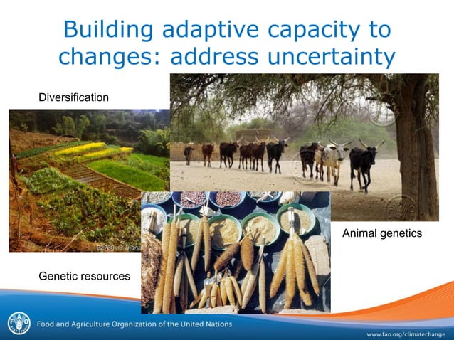 Building Resilience for Adaptation to Climate Change in Agriculture | PDF