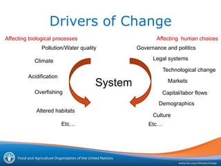 Building Resilience for Adaptation to Climate Change in Agriculture | PDF