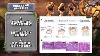 Physiology of tooth movement powerpoint presentation | PPT