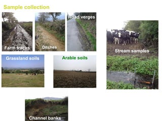 Sediment Research Teagasc - Daire O hUallachain | PDF